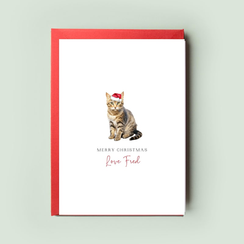 Cat Christmas Cards - Etsy