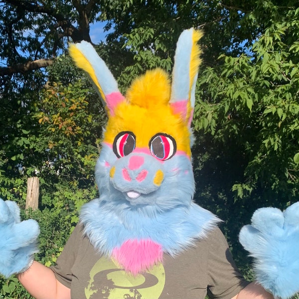 Mini Partial Fursuit - Etsy