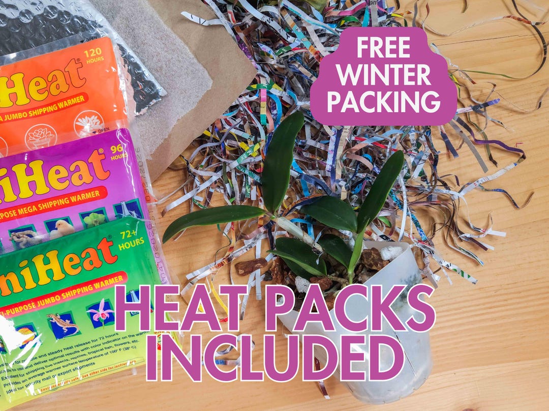 Heat Packs, Shipping Warmers Lasting 60, 72, and 96 Hours - Etsy