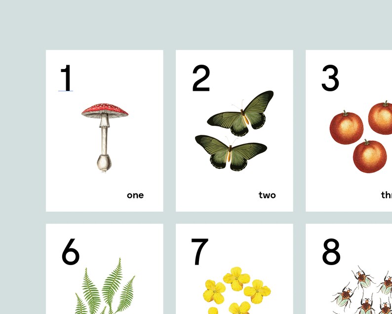 Printable Number Flash Card Numbers Learn Count Flashcard Number ...
