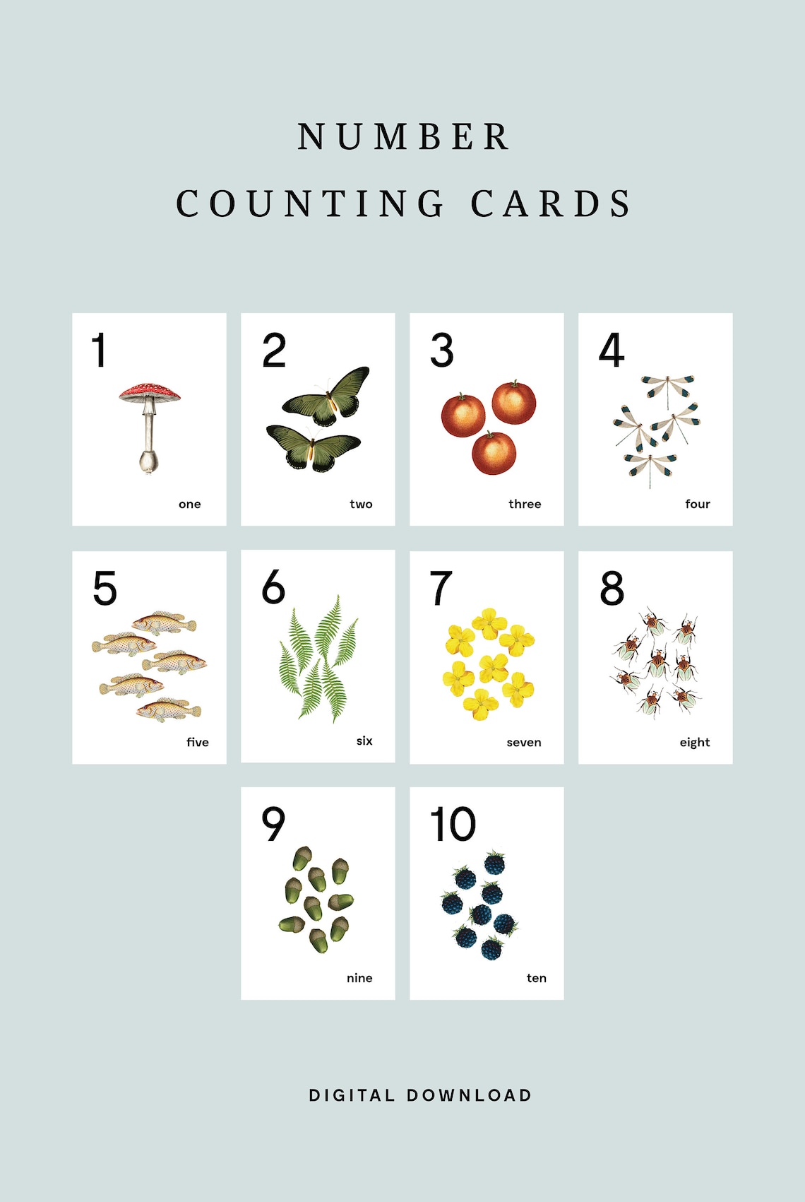 Printable Number Flash Card Numbers Learn Count Flashcard Number ...