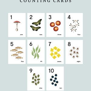 Printable Number Flash Card Numbers Learn Count Flashcard Number ...