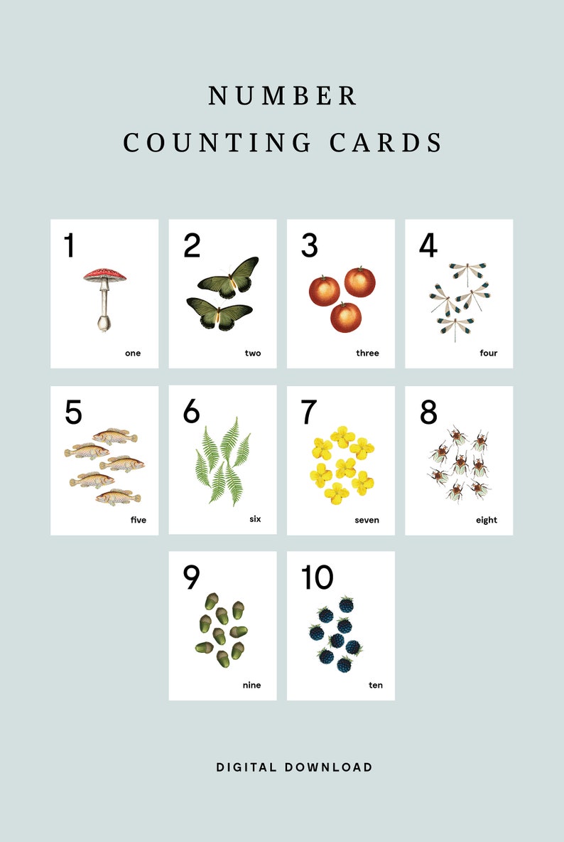 Printable Number Flash Card Numbers Learn Count Flashcard Number ...