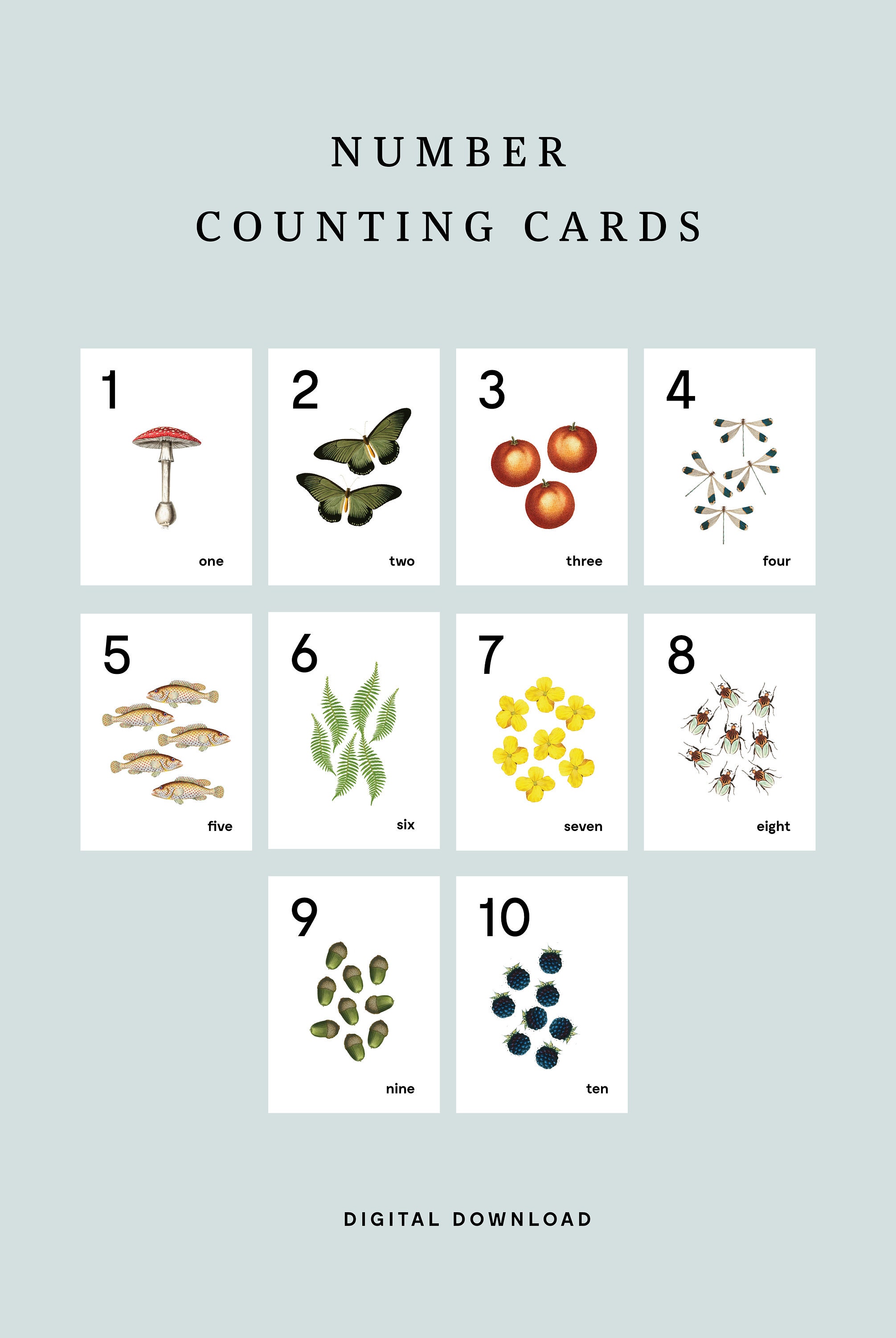 Printable Number Flash Card Numbers Learn Count Flashcard Number ...