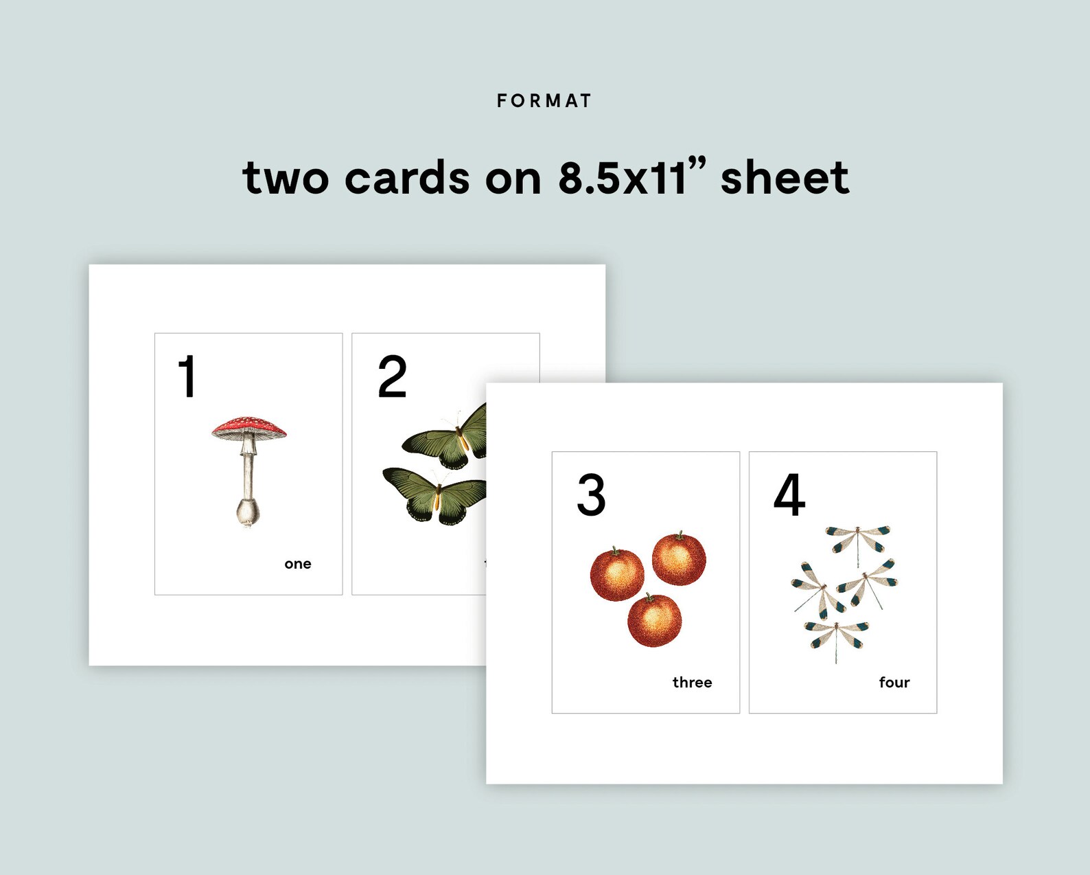 Printable Number Flash Card Numbers Learn Count Flashcard Number ...