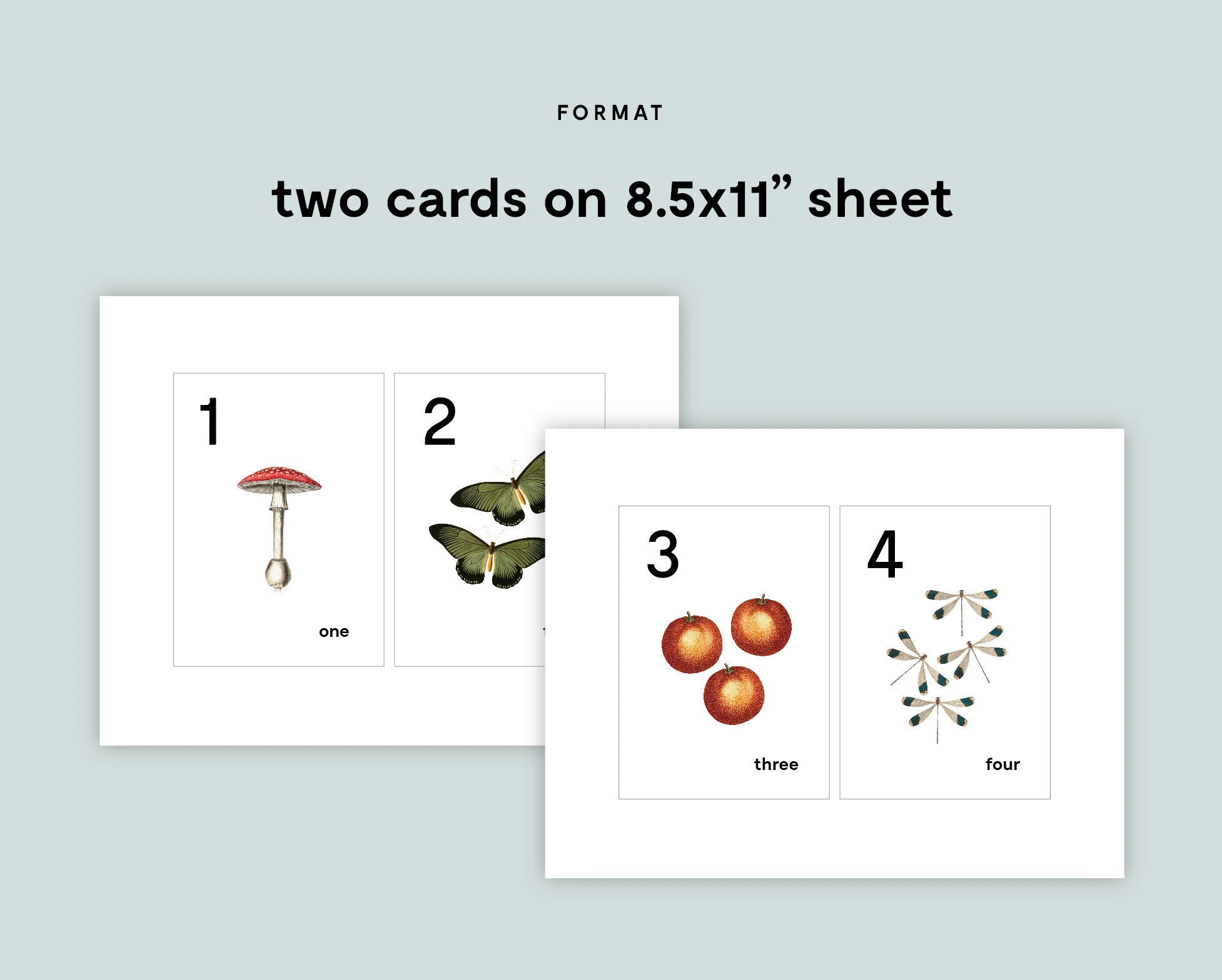 Printable Number Flash Card Numbers Learn Count Flashcard Number ...