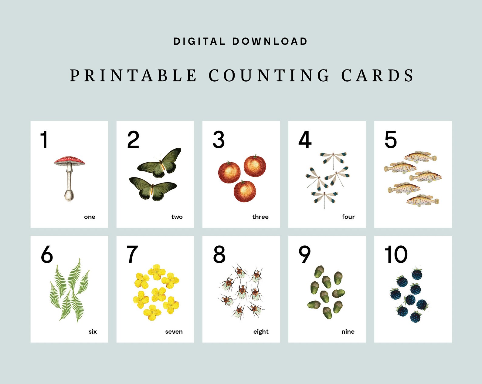 Printable Number Flash Card Numbers Learn Count Flashcard - Etsy
