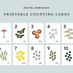 Printable Number Flash Card Numbers Learn Count Flashcard - Etsy