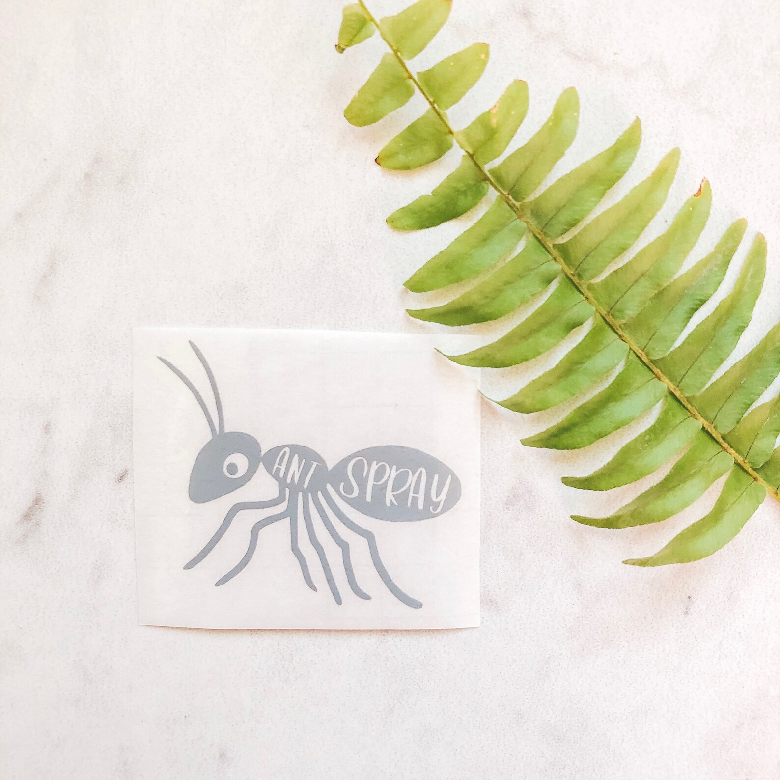 Ant Spray Essential Oil Label, Ant Spray Label, Essential Oil Labels ...