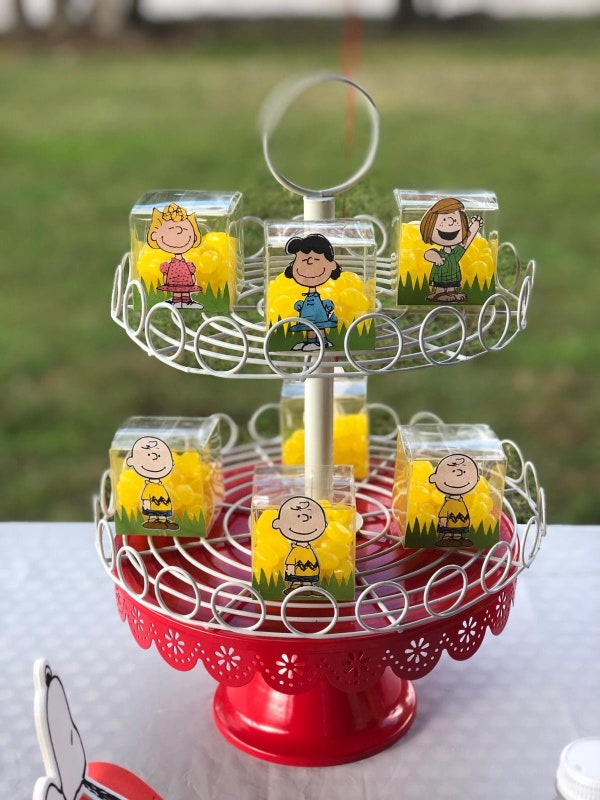 Peanuts Photo Booth Props - Etsy Canada