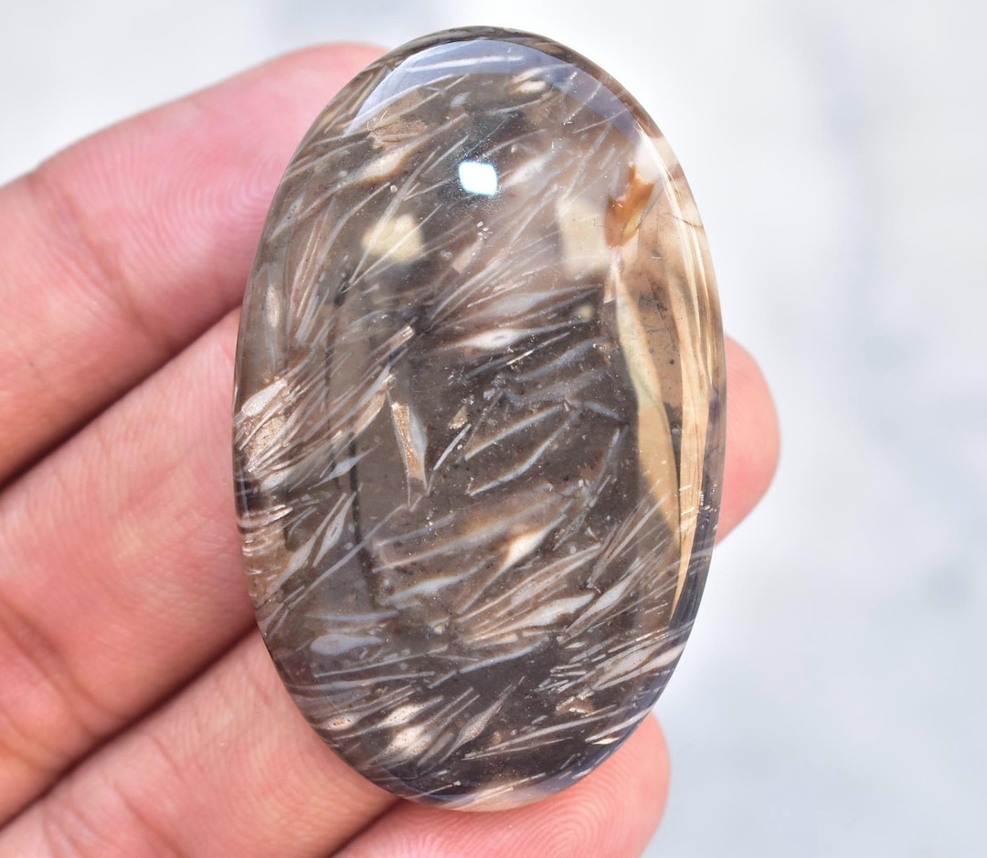 Fossilized Foraminifera Feather Agate Cabochon / Feather Agate Gemstone ...