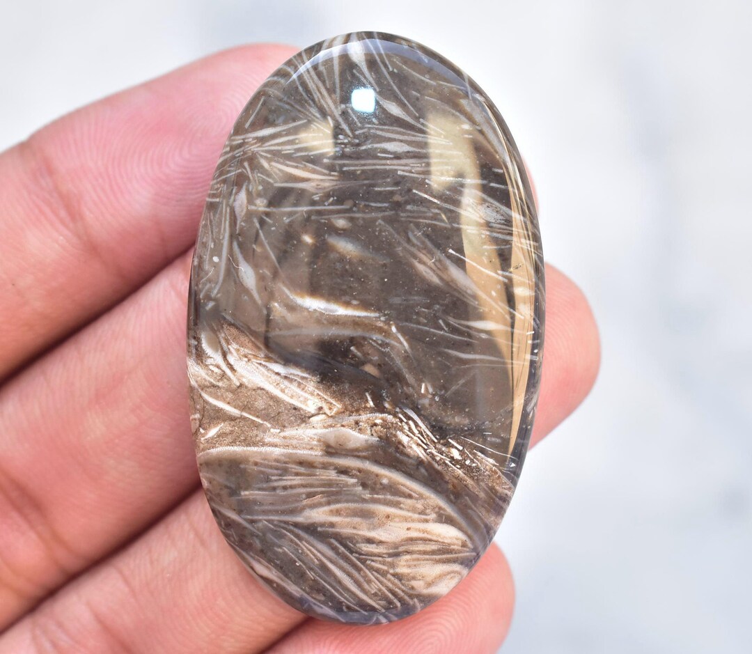 Fossilized Foraminifera Feather Agate Cabochon / Feather Agate Gemstone ...