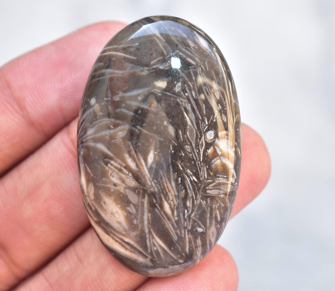 Fossilized Foraminifera Feather Agate Cabochon / Feather Agate Gemstone ...