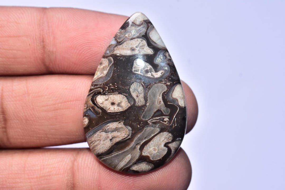 Rock Chalcy Cabochon / Top Grade Rock Chalcy Gemstone / Pear Shape / 50 ...