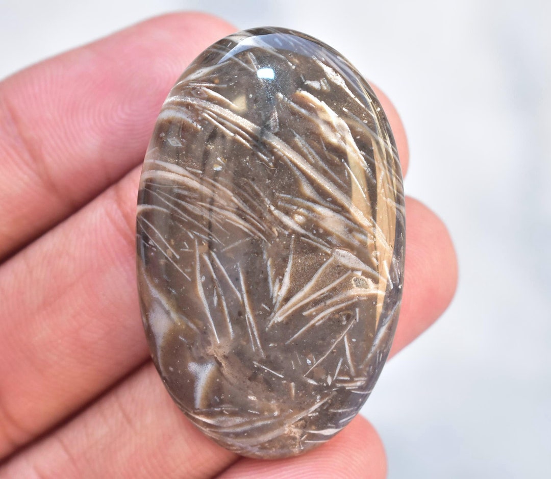 Fossilized Foraminifera Feather Agate Cabochon / Feather Agate Gemstone ...