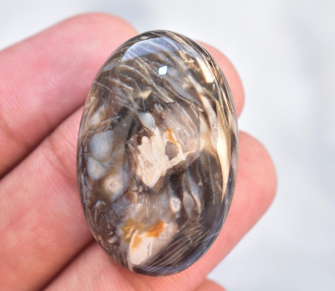 Fossilized Foraminifera Feather Agate Cabochon / Feather Agate Gemstone ...