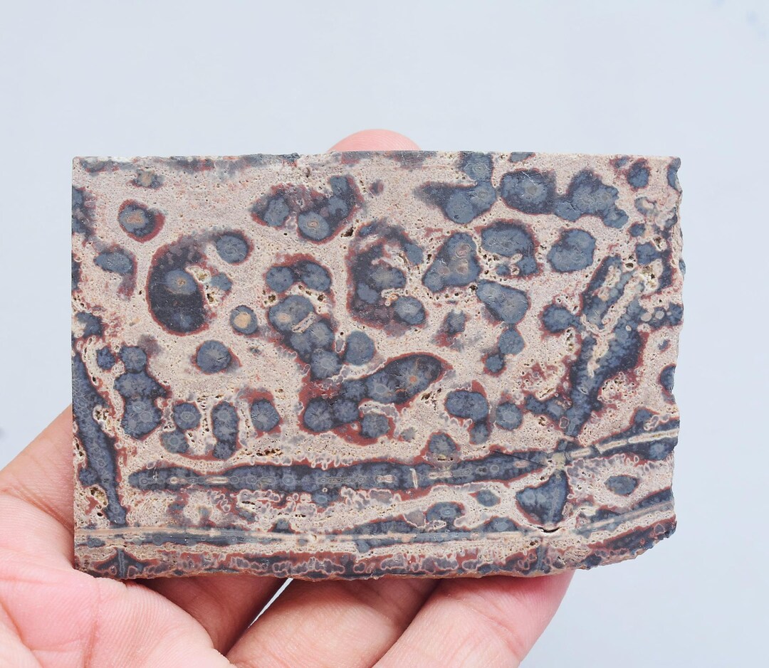 Viper Skin Jasper Slice / Mexican Viper Skin Jasper Gemstone - Etsy