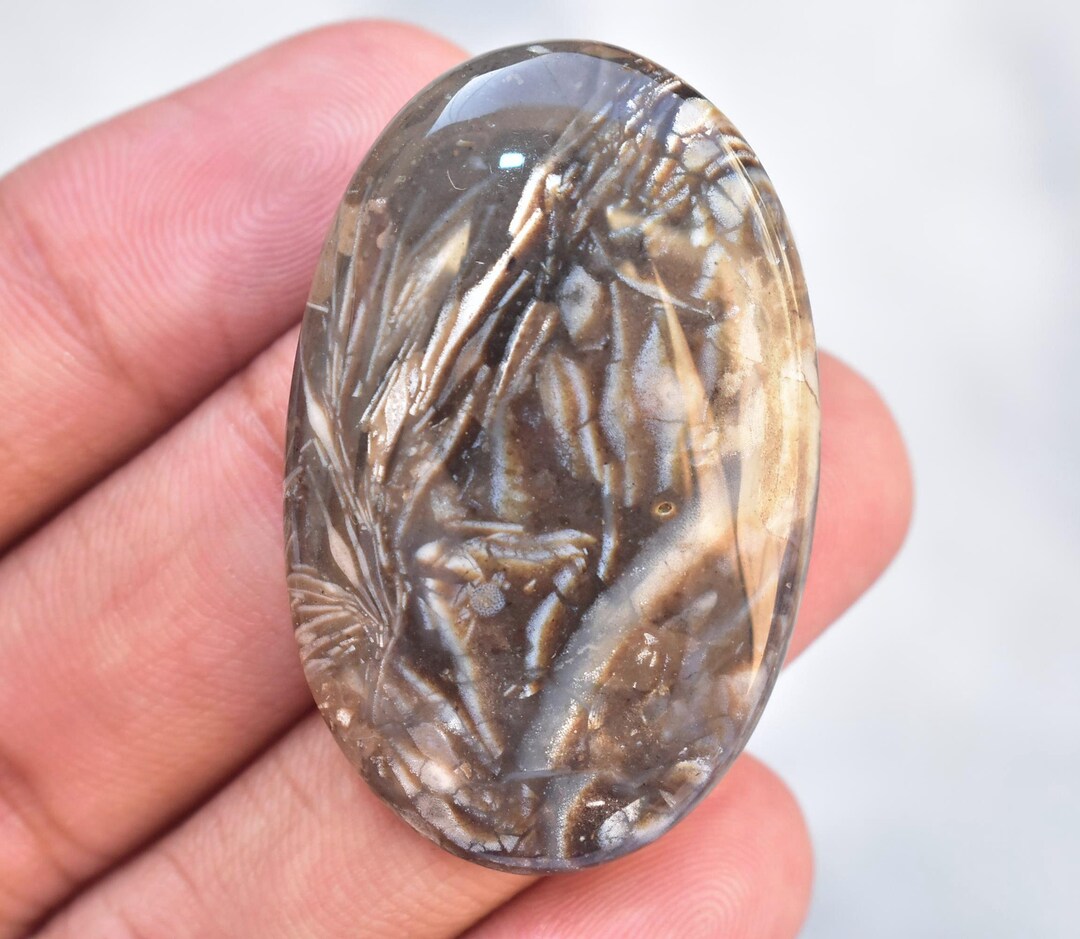 Fossilized Foraminifera Feather Agate Cabochon / Feather Agate Gemstone ...