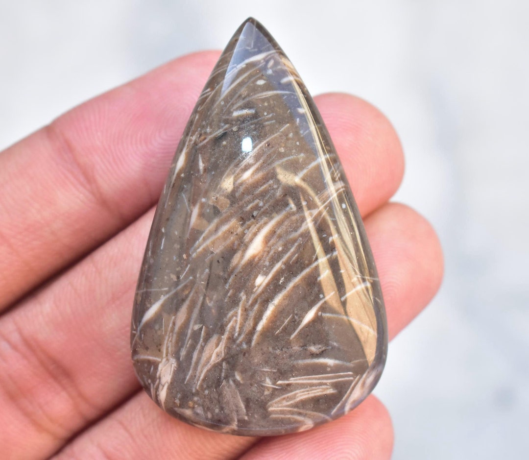 Fossilized Foraminifera Feather Agate Cabochon / Feather Agate Gemstone ...