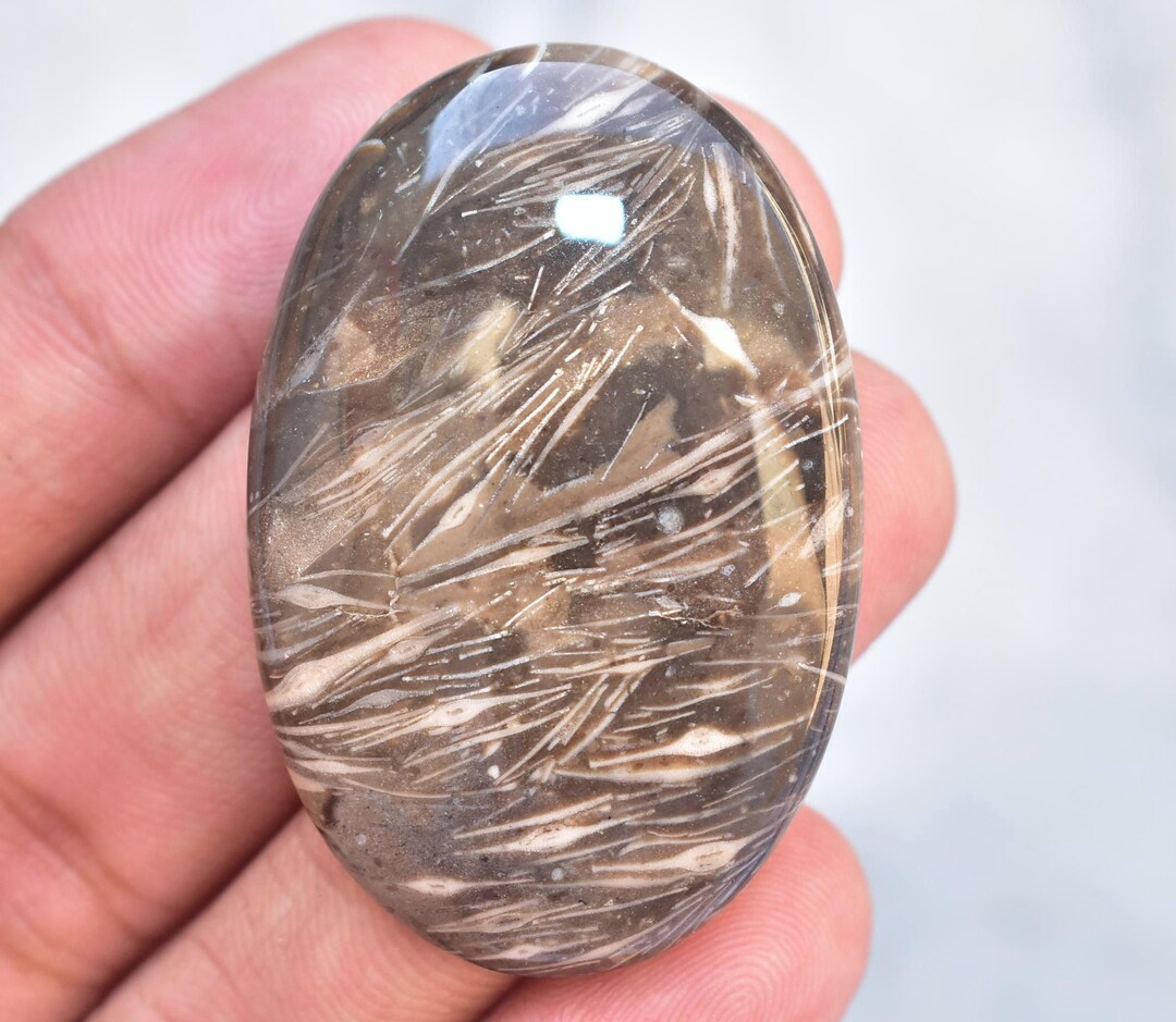 Fossilized Foraminifera Feather Agate Cabochon / Feather Agate Gemstone ...