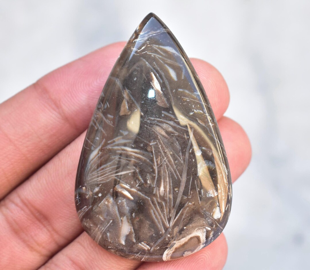 Fossilized Foraminifera Feather Agate Cabochon / Feather Agate Gemstone ...