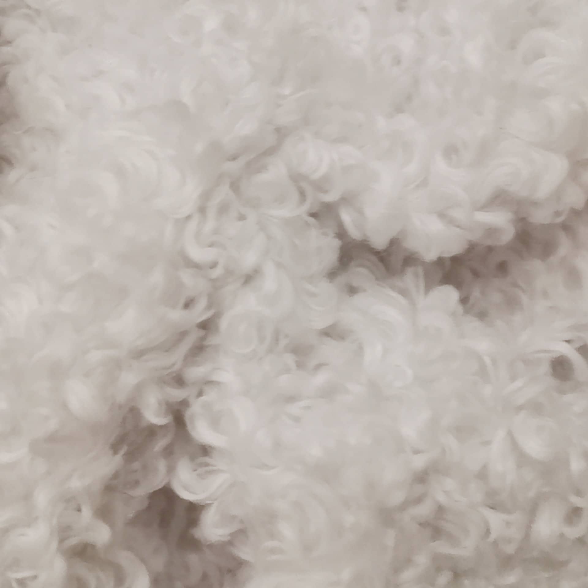 White Lamb Faux Fur White Sherpa Fabric Teddy Fabric Sheep - Etsy