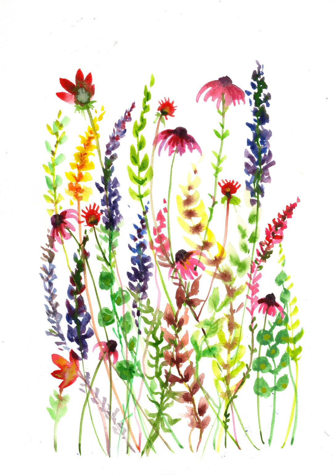 Printable Wildflower Watercolour Colourful Art, Countryside Meadow ...