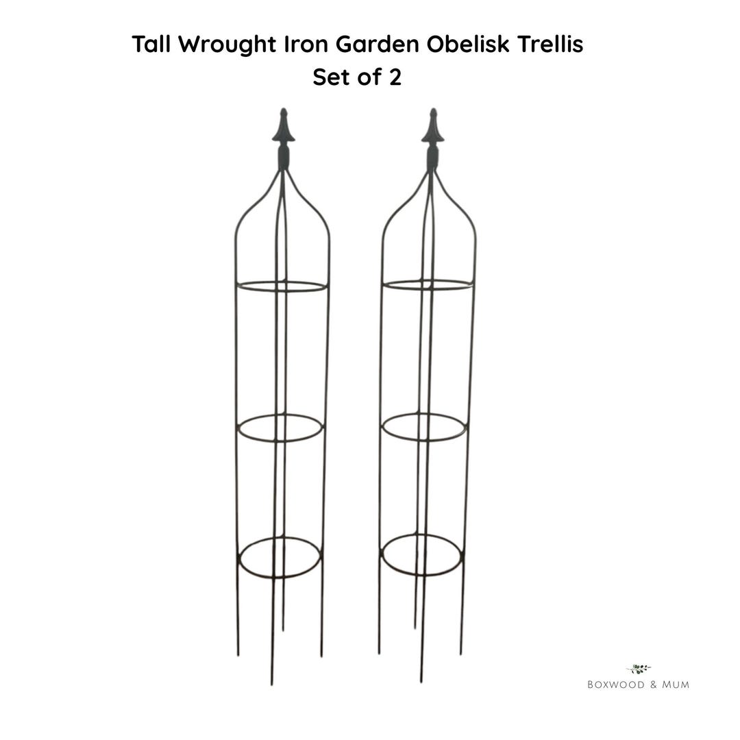 Wrought Iron Garden Trellis Obelisks Set – Tall Metal Climbing Plant ...