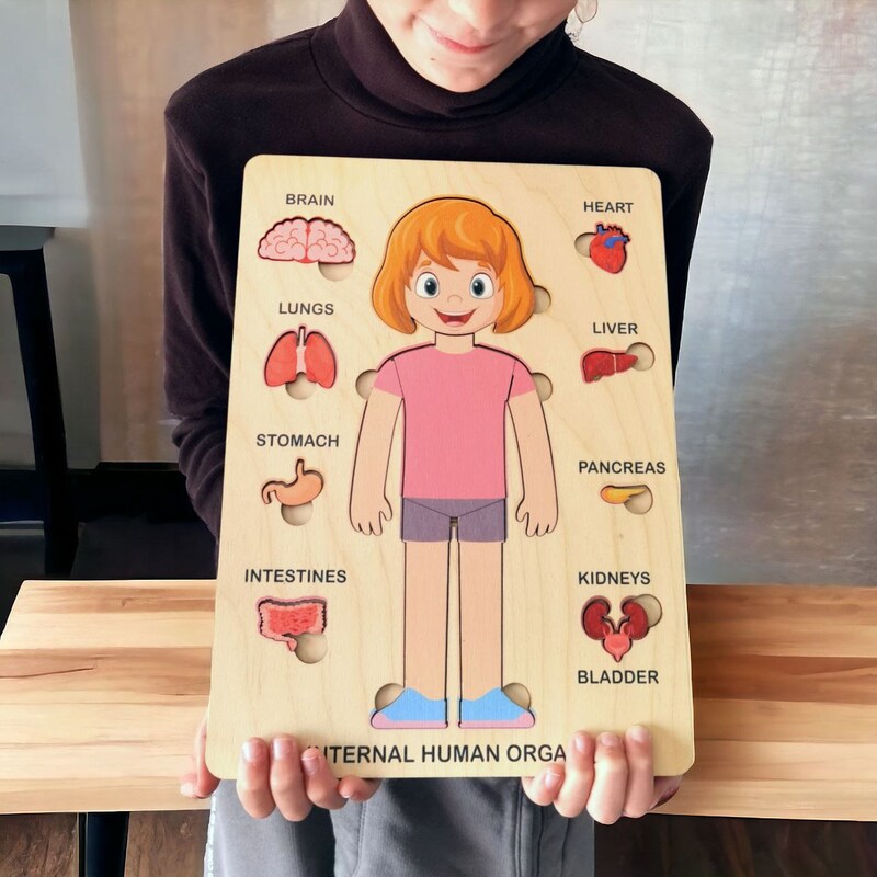 Human Body Puzzle - Etsy