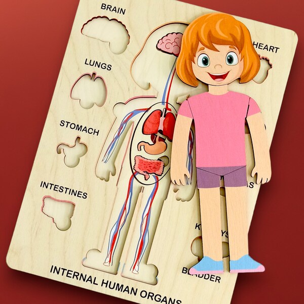 Human Body Puzzle - Etsy