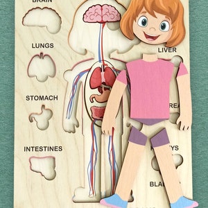 Baby Educational Toys Human Body Puzzle, Children's Anatomy, Wooden ...
