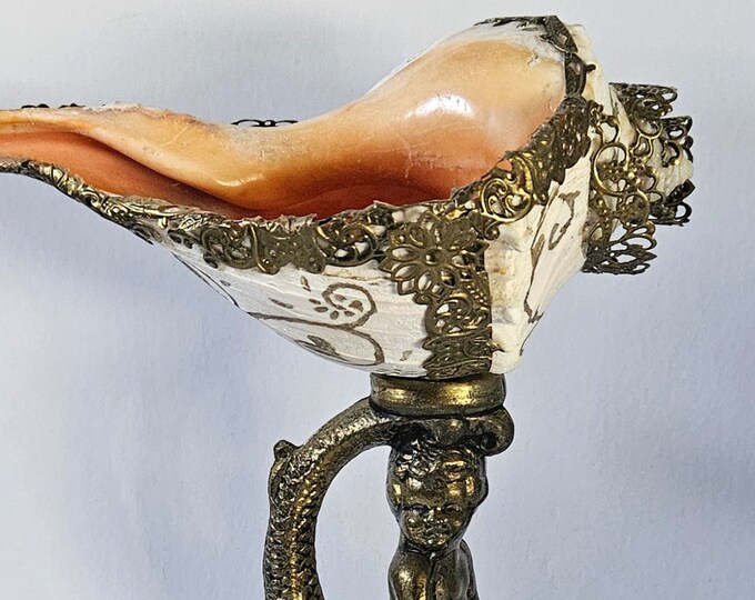 Whelk Conch Nautilus Cup Chalice Statue Figure Real Shell - Etsy