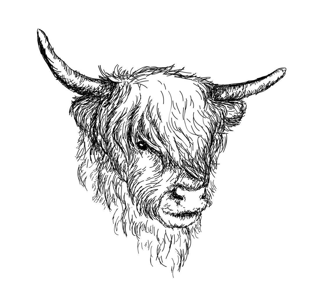 Svg, Eps, Jpg - Hairy Coo - Long Haired Cow of Scotland - Etsy