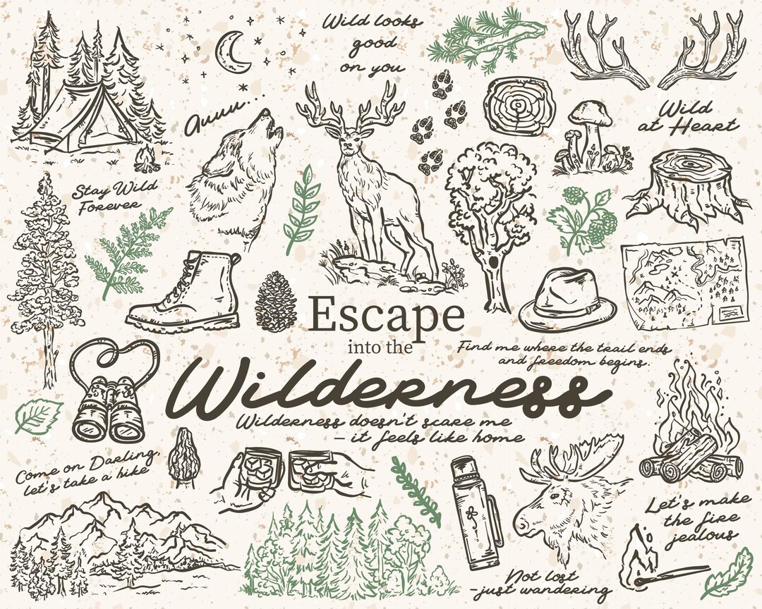 40+ Wilderness Whimsical Style, SVG, PNG, AI, Illustrations, Hand Drawn ...