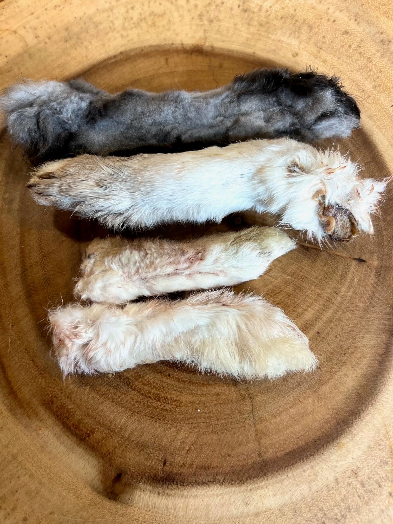 Dried Rabbit Feet Dogs - Etsy