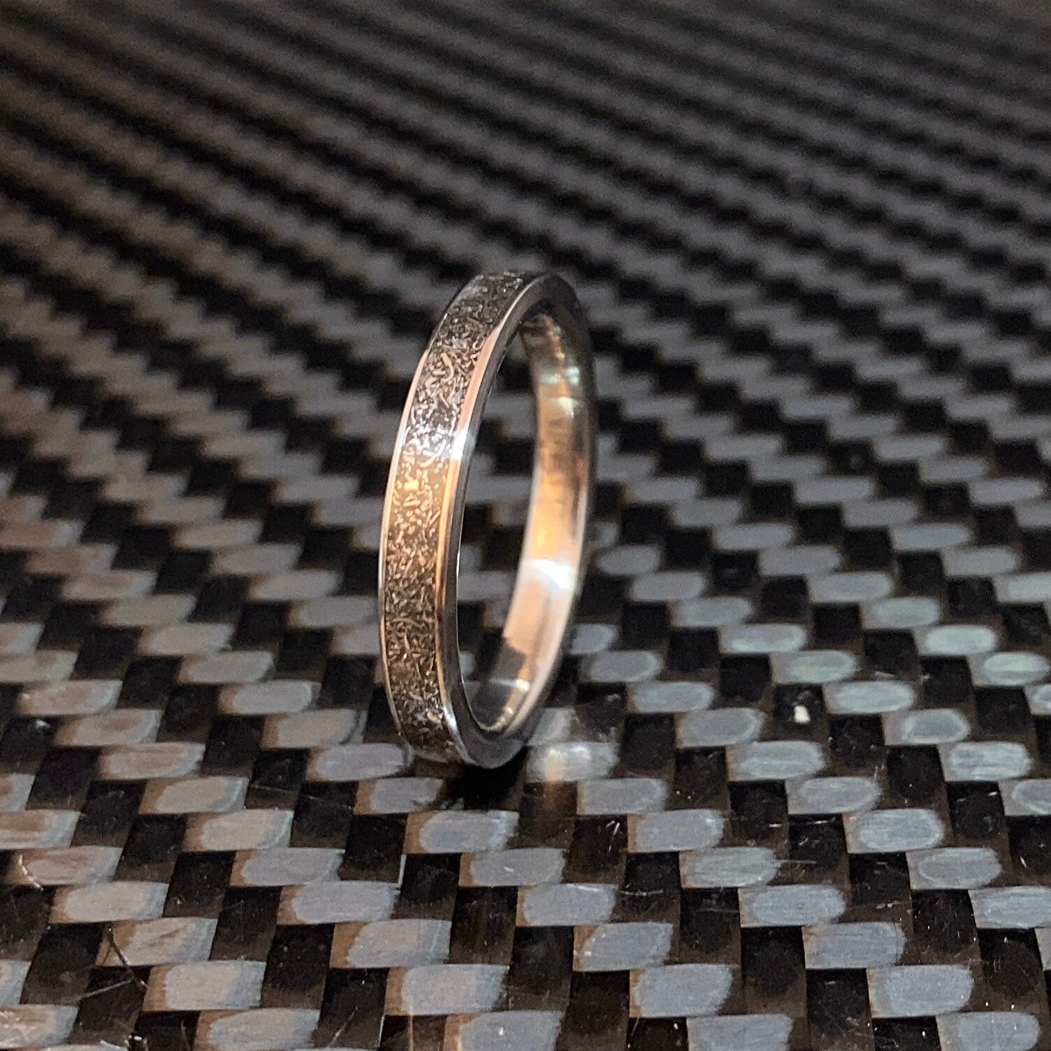 Asteroid Belt Dainty Meteorite Ring Titanium Band - Etsy