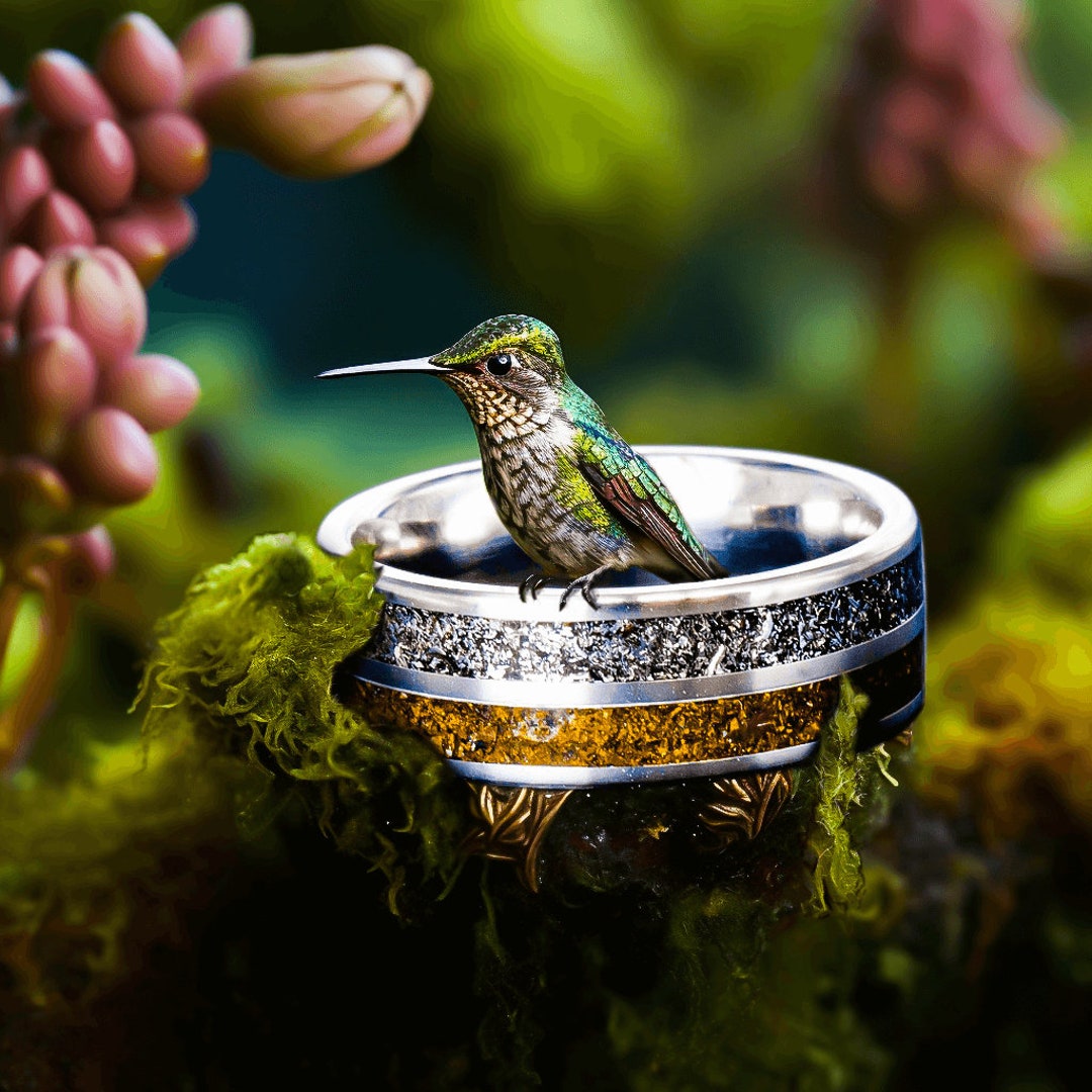 Celestial Relics: Meteorite and Dinosaur Bone Titanium Ring ...