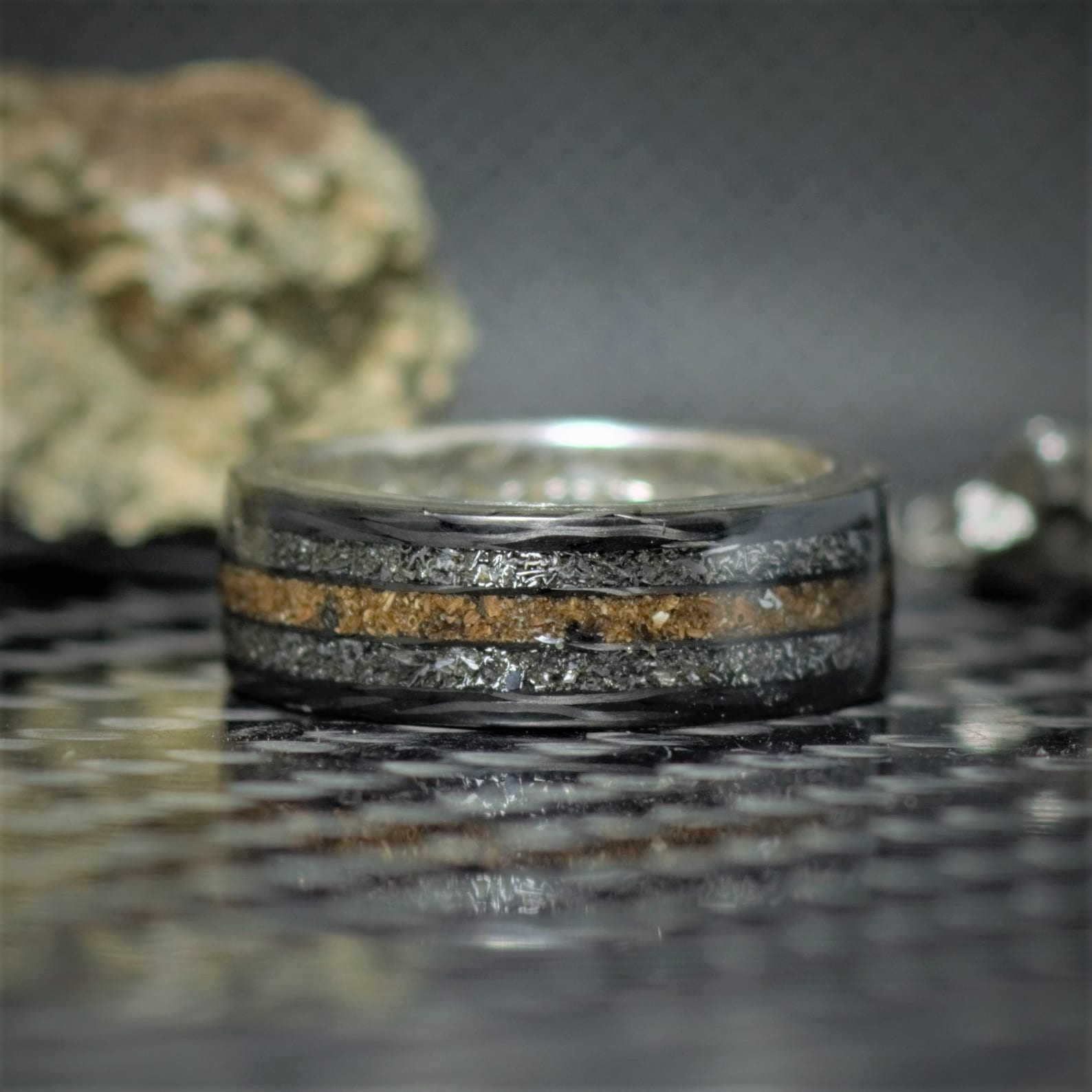 Coin Ring Dinosaur Meteorite Ring Carbon Fiber, Silver Dollar Ring ...
