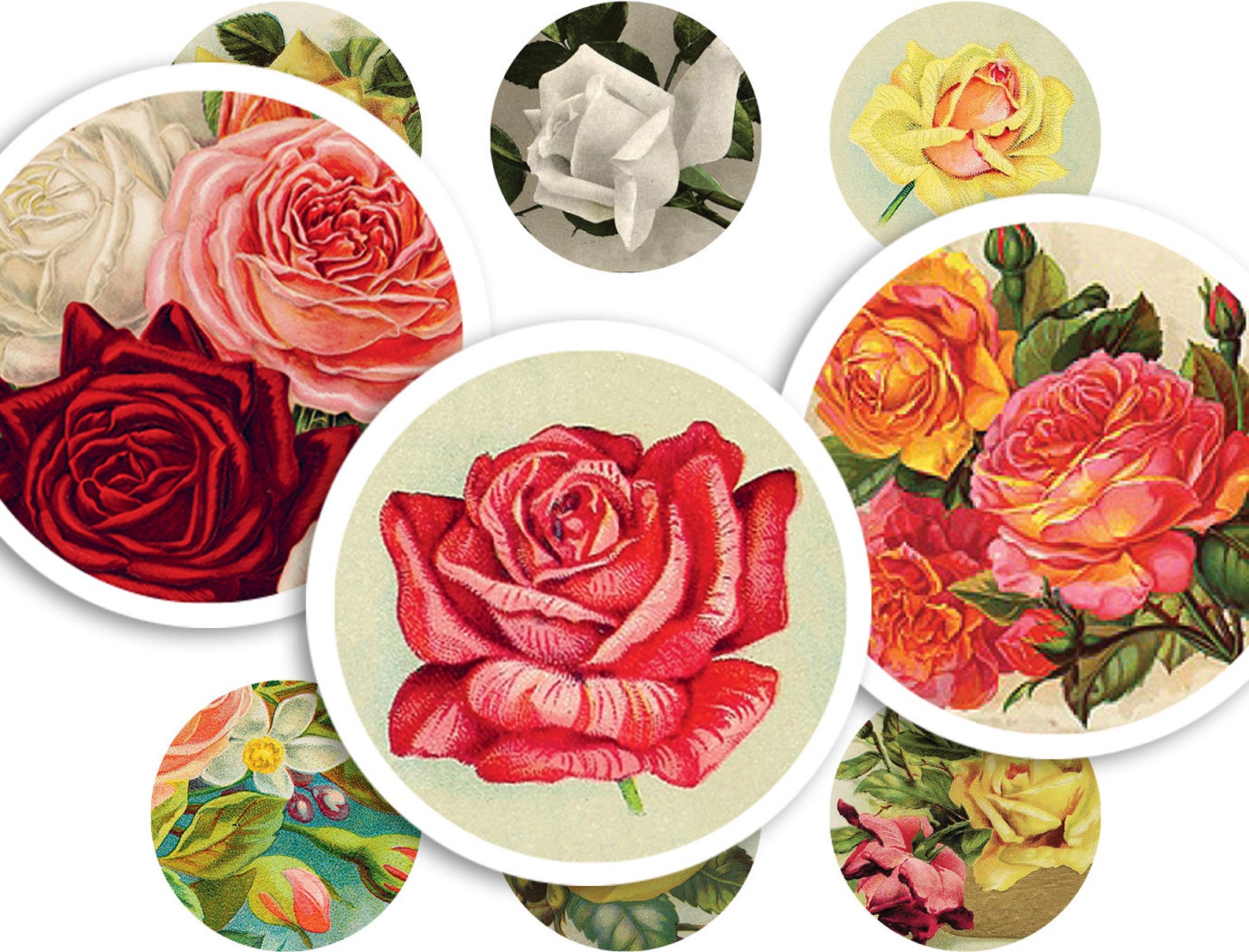 Printable Collage Sheet Roses 48 Pcs 1/25mm Round | Etsy