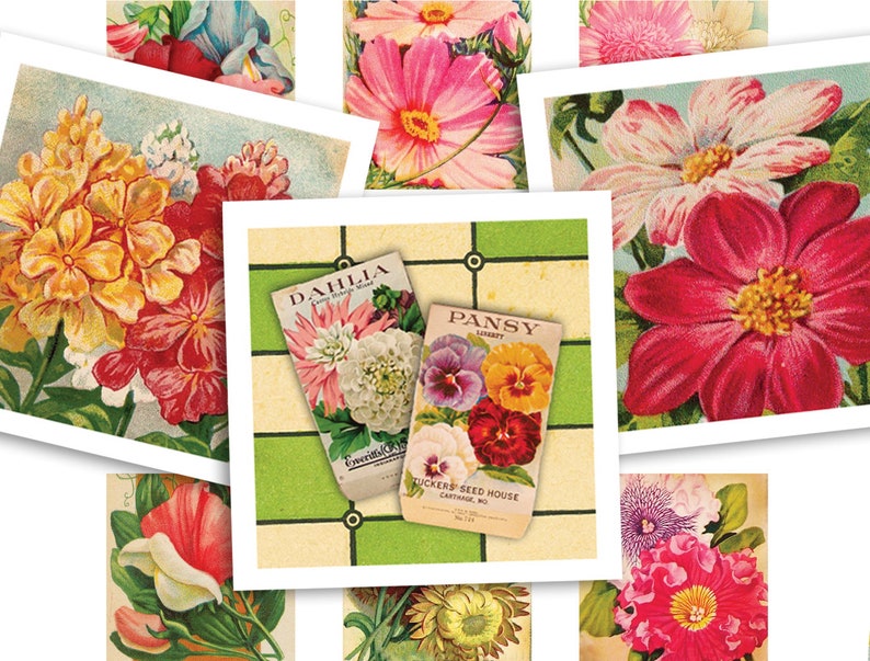 Printable Collage Sheet Garden Flowers 48 Pcs 1/25mm - Etsy