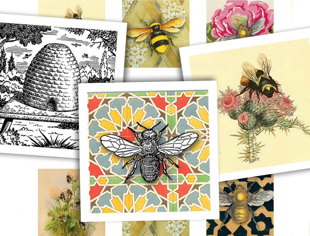 Printable Collage Sheet • Bees and Beehives • 48 Pcs 1"/25mm Square ...