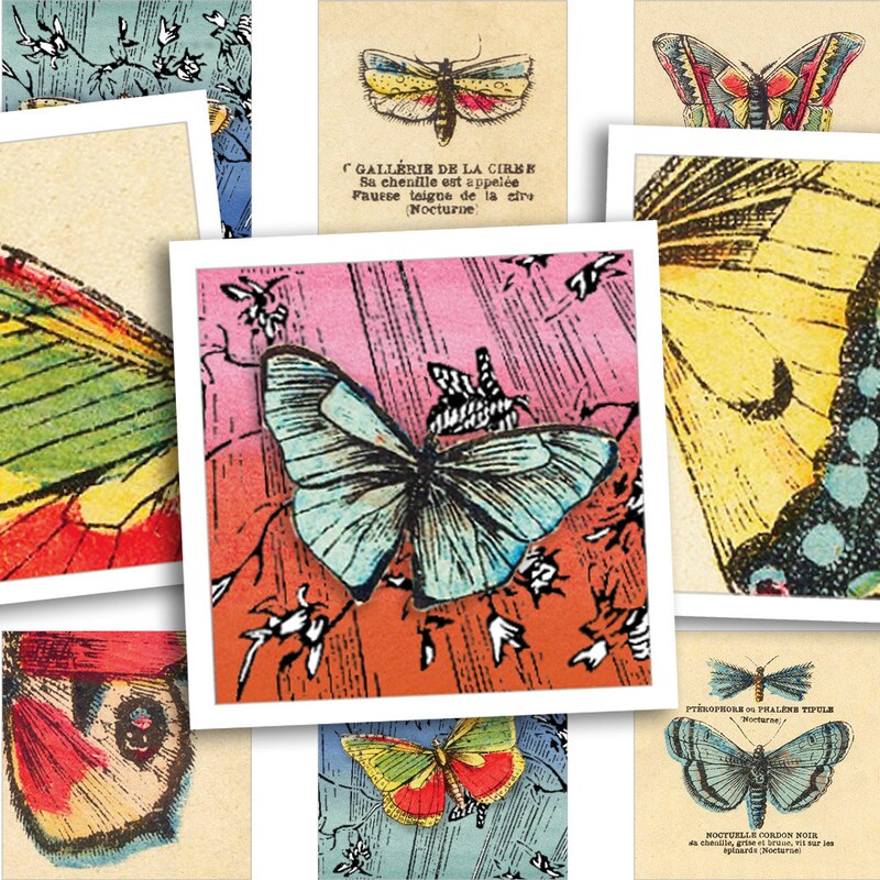 Butterfly Lithograph - Etsy