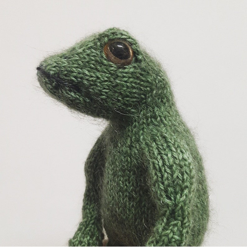 The Frog Knitting Pattern - Etsy