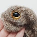 The Toad Knitting Pattern - Etsy