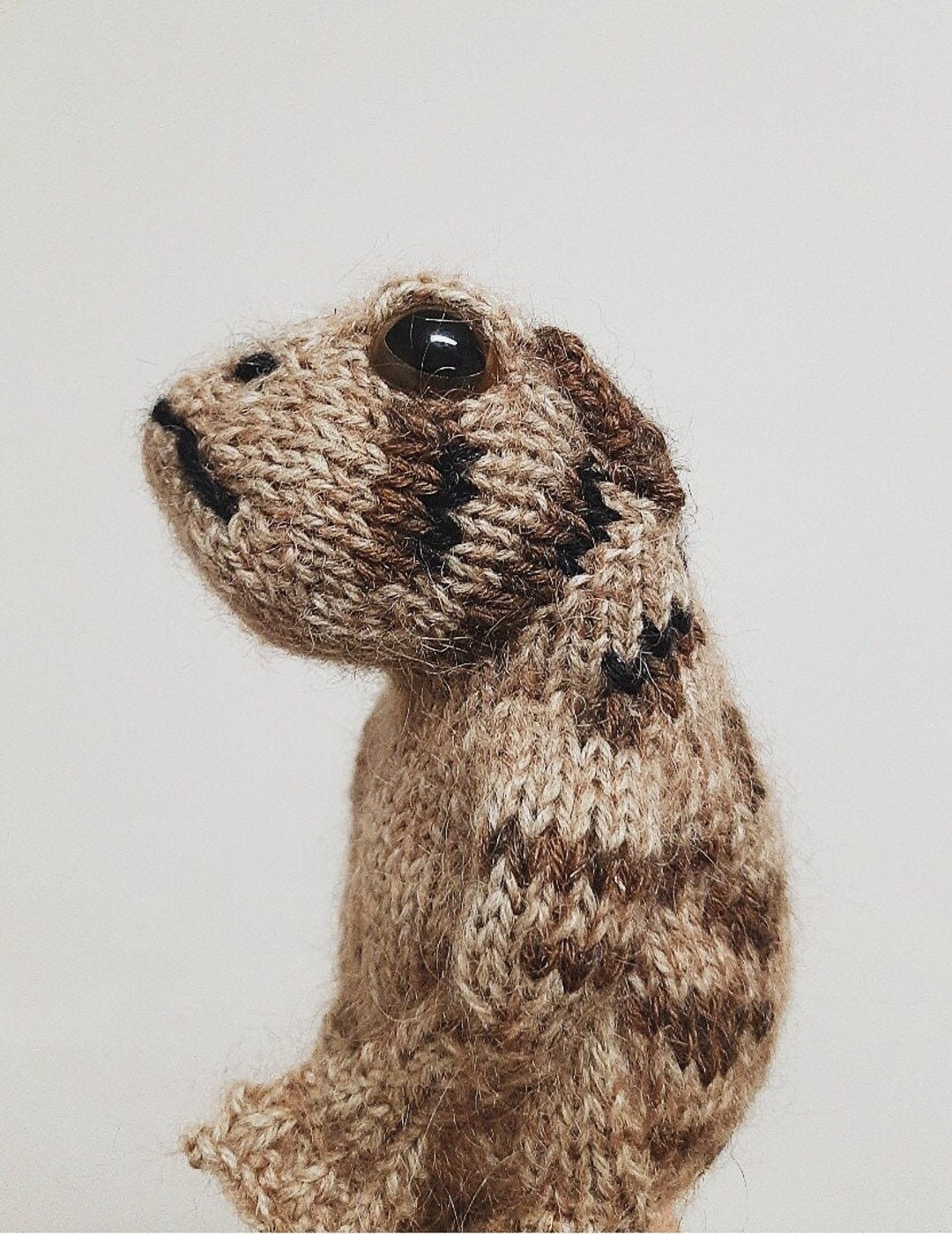 The Toad Knitting Pattern - Etsy