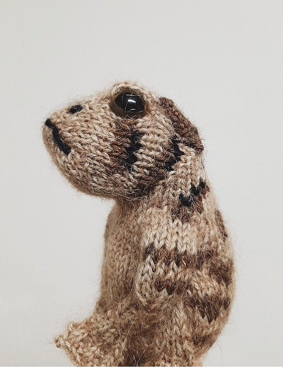 The Toad Knitting Pattern | Etsy