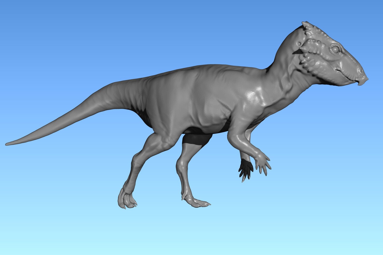 Aquilops americanus scale 1:5 dinosaur 3D model for 3D | Etsy