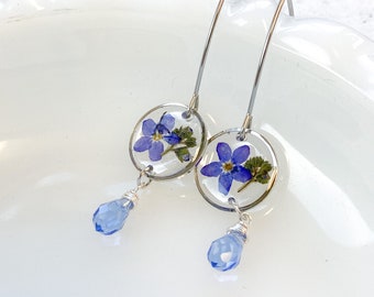 Alaska Forget Me Not - Etsy