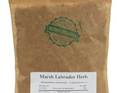 Marsh Labrador Herb / Rhododendron Tomentosum / Ledum Palustre - Etsy