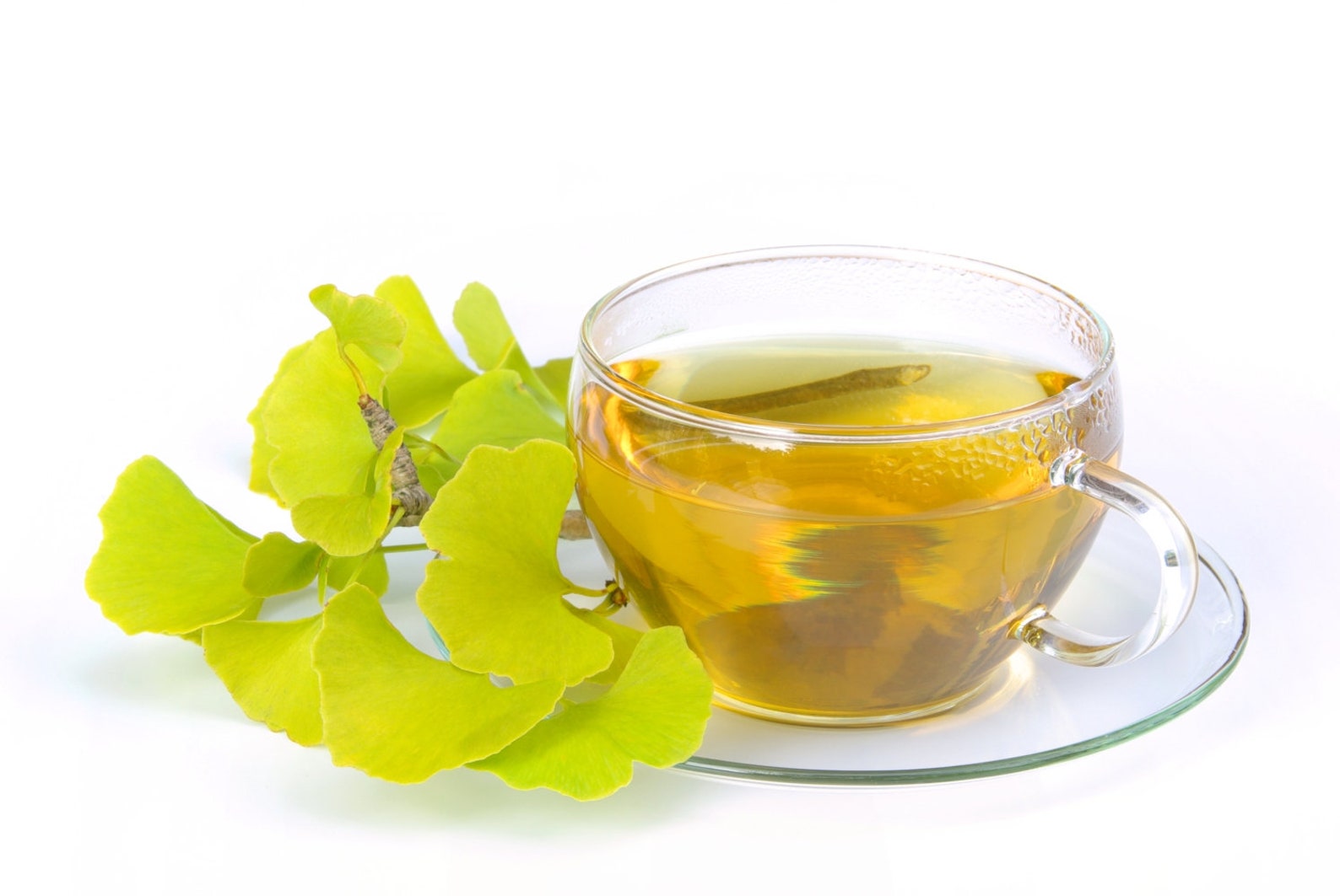 Ginkgo Biloba Leaf Tea / Health Embassy - Etsy